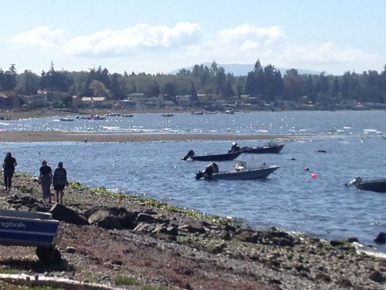 The Birch Bay Walk – Bellingham Walks