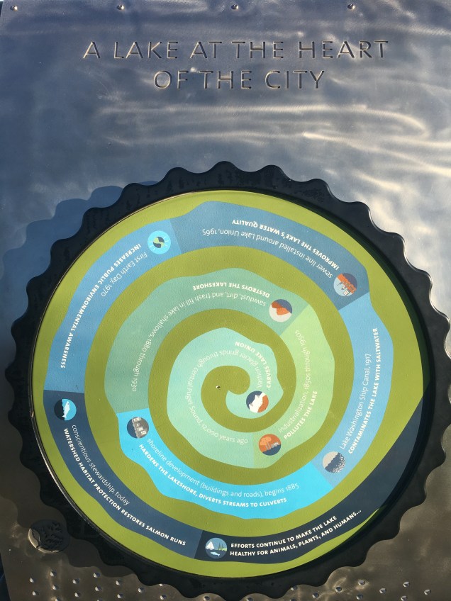 The Cheshiahud Lake Union Loop Walk – Bellingham Walks